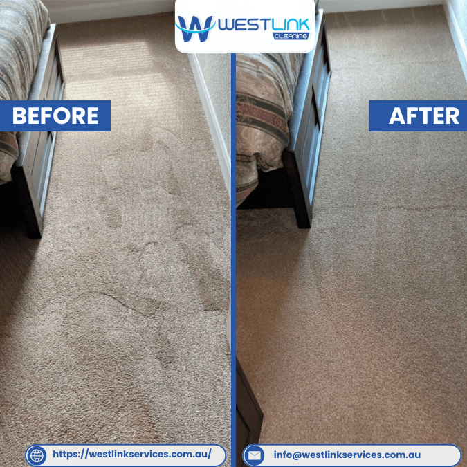 Professional Carpet Cleaning Before And After: Complete Guide