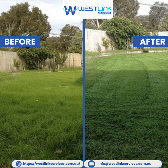 Before and After Lawn Mowing: Easy Step-by-Step Guide