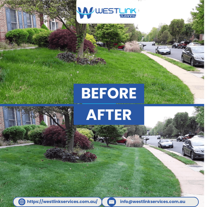 Before and After Lawn Mowing: Easy Step-by-Step Guide